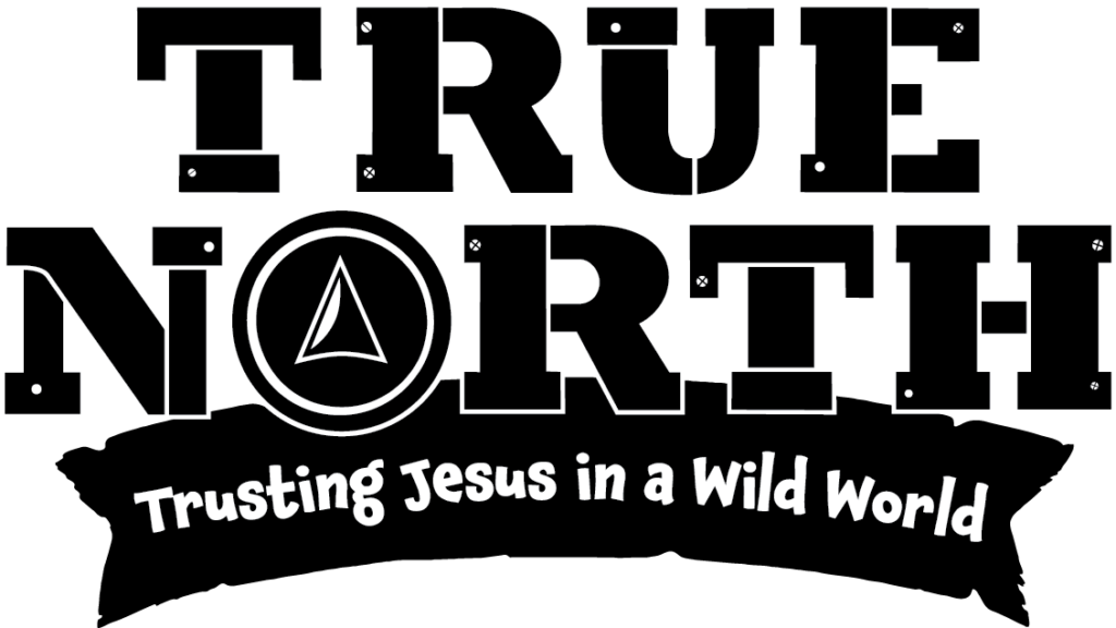 True North Logo Line Art - Group VBS Tools